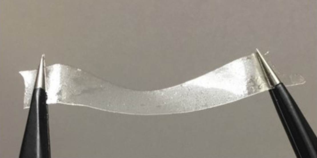 Superionic Conductive Solid (SIP) Polymer Composite Electrolytes ...